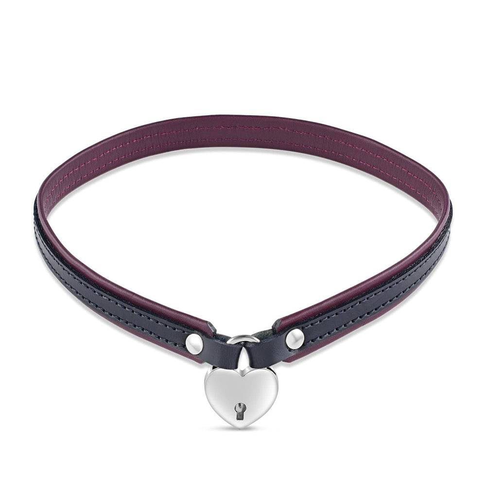 The Complete Guide to Metal Collars: Utility, Style and Durability ...
